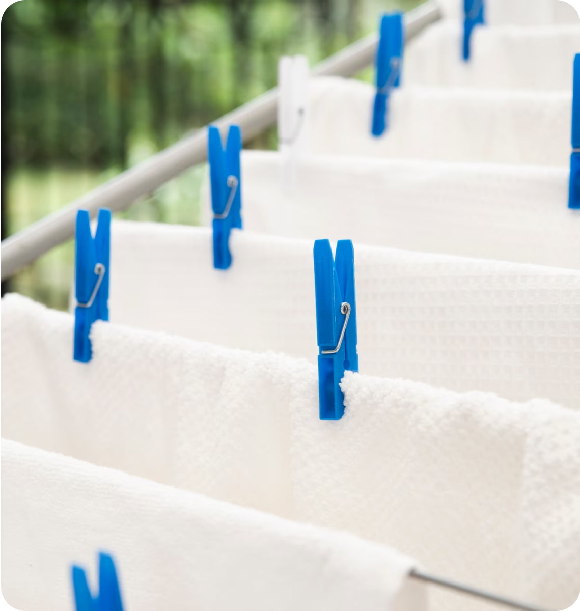 Laundry Sheets vs. Powder: Which Is the Better Detergent? – HeySunday